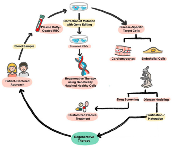 Current Status of Cardiac Regenerative Therapy Using Induced ...