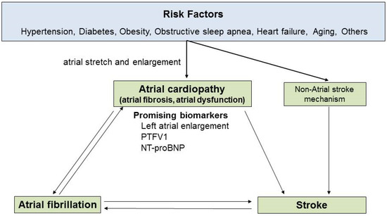 Cardioembolic Stroke: Past Advancements, Current Challenges, and Future ...