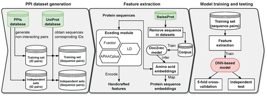 Prediction of Protein–Protein Interactions Based on Integrating Deep ...