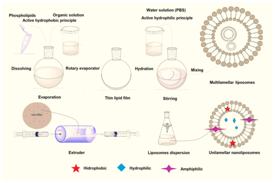 Nanoformulations in Pharmaceutical and Biomedical Applications: Green ...