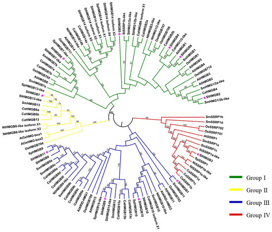Genome-Wide Identification and Expression Analysis of the High-Mobility ...