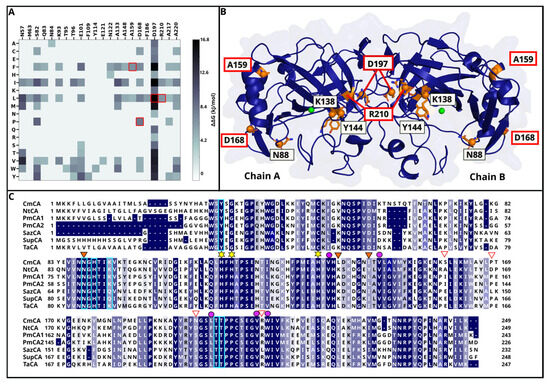 Alpha Carbonic Anhydrase from Nitratiruptor tergarcus Engineered for ...