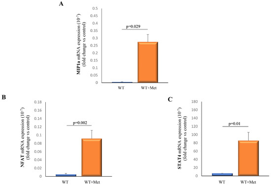 Harnessing Metformin’s Immunomodulatory Effects on Immune Cells to ...