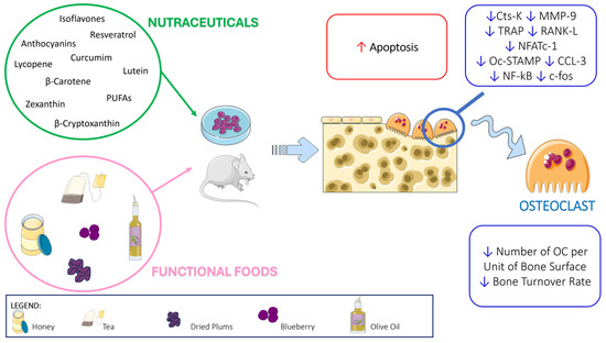 Nutraceuticals and Functional Foods: A Comprehensive Review of Their ...