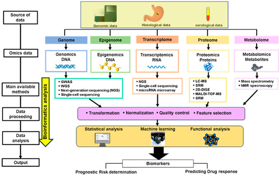 Bioinformatics Analysis and Validation of Potential Markers Associated ...
