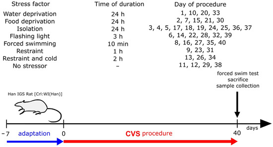 IJMS | Free Full-Text | Pathological Changes and Metabolic Adaptation ...