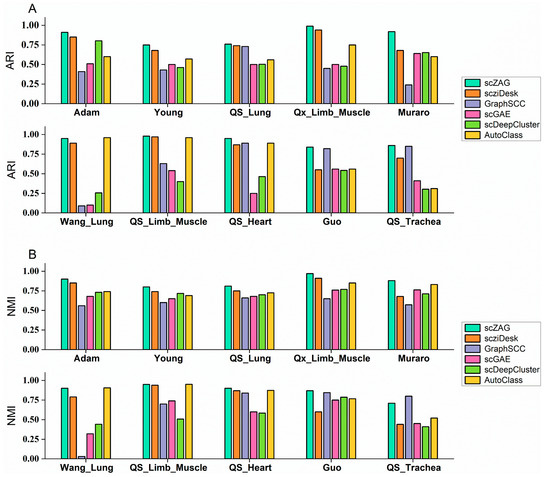 IJMS | Free Full-Text | scZAG: Integrating ZINB-Based Autoencoder with Adaptive Data ...