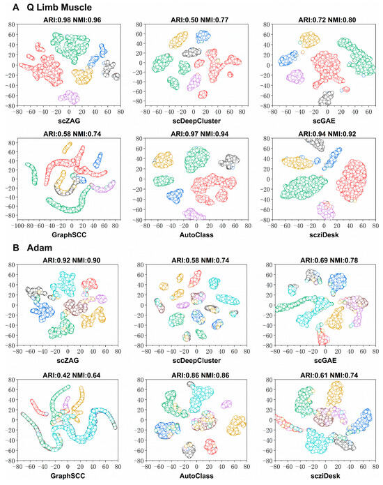 IJMS | Free Full-Text | scZAG: Integrating ZINB-Based Autoencoder with Adaptive Data ...