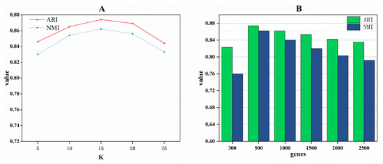 IJMS | Free Full-Text | scZAG: Integrating ZINB-Based Autoencoder with ...