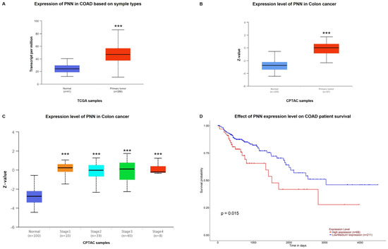 IJMS | Free Full-Text | Identification of a Novel miR-195-5p/PNN Axis ...