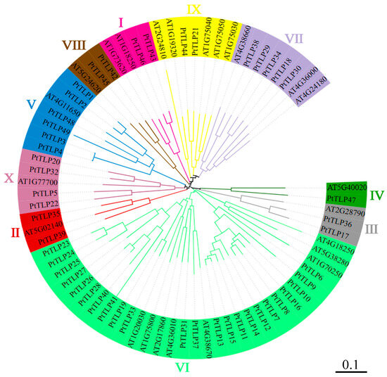 Genome-Wide Identification of TLP Gene Family in Populus trichocarpa ...