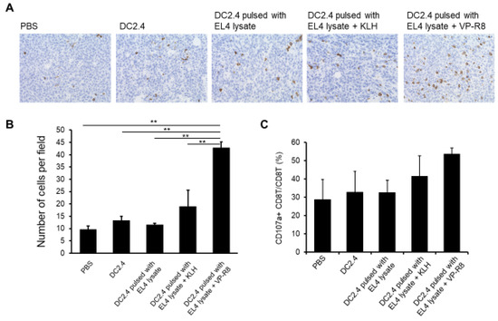 The Improved Antigen Uptake and Presentation of Dendritic Cells Using ...