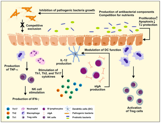 Effects of Probiotics on Gut Microbiota: An Overview