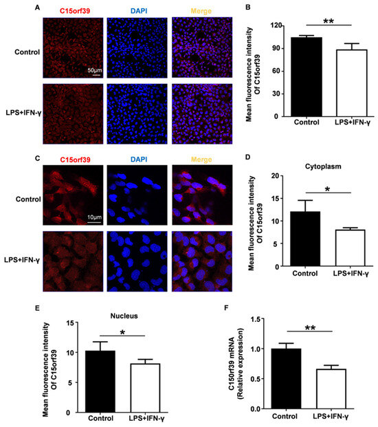 IJMS | Free Full-Text | Human C15orf39 Inhibits Inflammatory Response via PRMT2 in Human ...