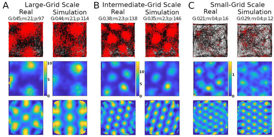 IJMS | Free Full-Text | A Continuous Attractor Model with Realistic Neural and Synaptic ...