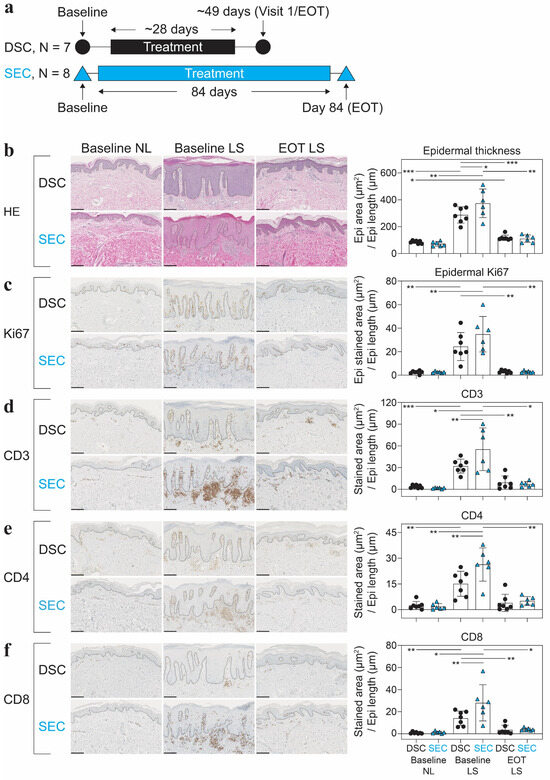Secukinumab and Dead Sea Climatotherapy Impact Resolved Psoriasis Skin ...