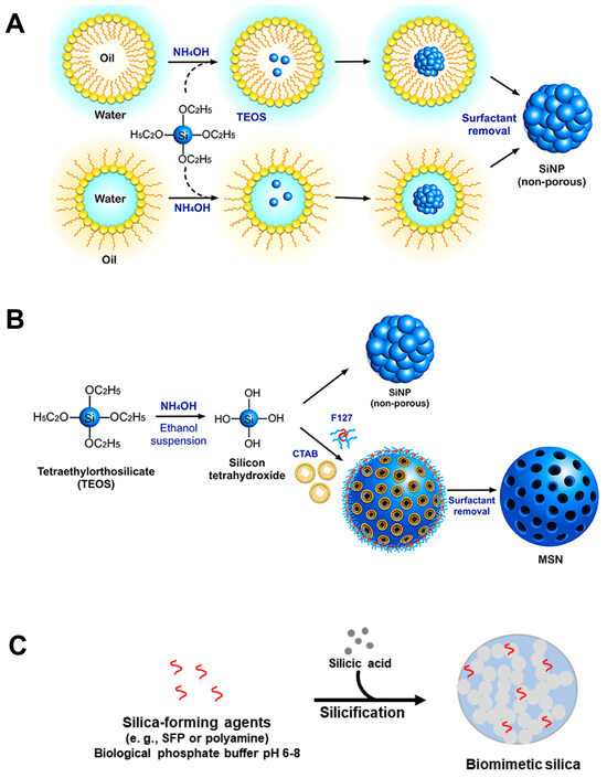 Nanoengineered Silica-Based Biomaterials for Regenerative Medicine