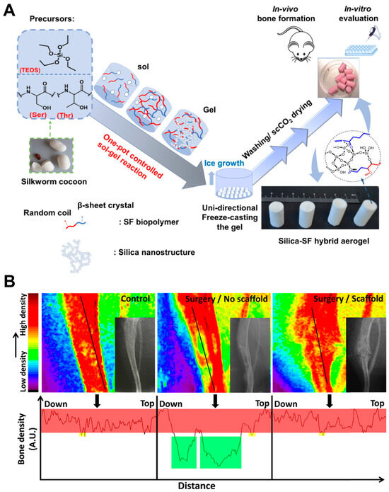 Nanoengineered Silica-Based Biomaterials for Regenerative Medicine