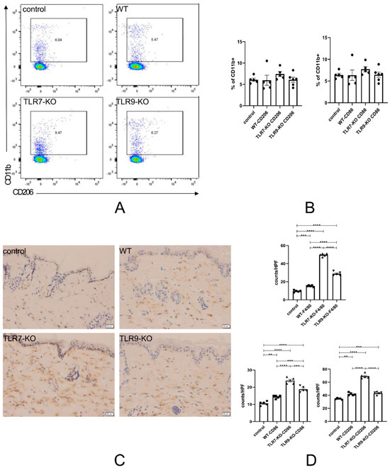 The Role of TLR7 and TLR9 in the Pathogenesis of Systemic Sclerosis