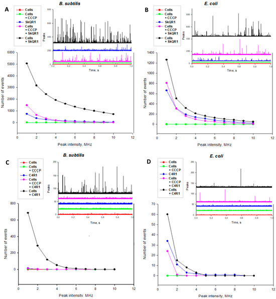 Rhodamine 19 Alkyl Esters as Effective Antibacterial Agents