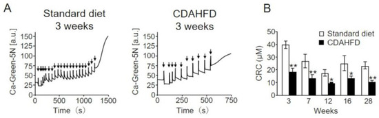 IJMS | Free Full-Text | Longitudinal Analysis of Mitochondrial Function ...