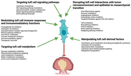 Colonic Tuft Cells: The Less-Recognized Therapeutic Targets in ...