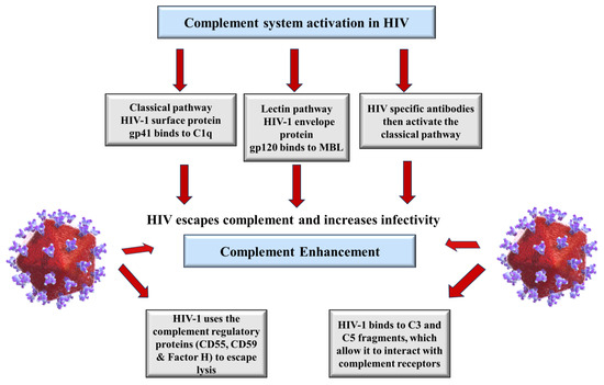 IJMS | Free Full-Text | Is the Complement System Dysregulated in ...