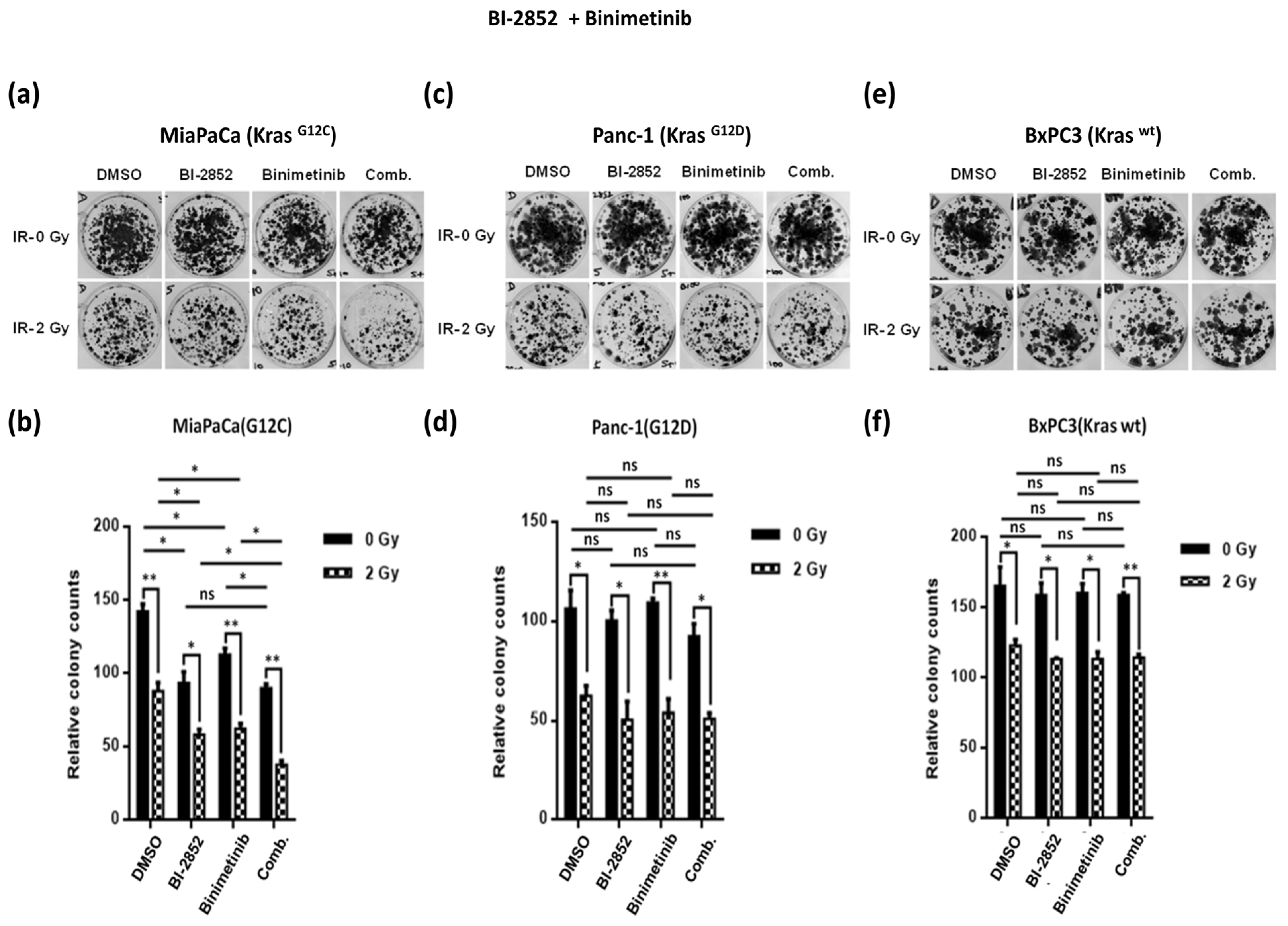 Triple Blockade of Oncogenic RAS Signaling Using KRAS and MEK ...