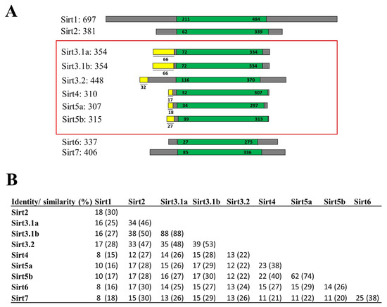 IJMS | Free Full-Text | The Expansion of Sirtuin Gene Family in ...