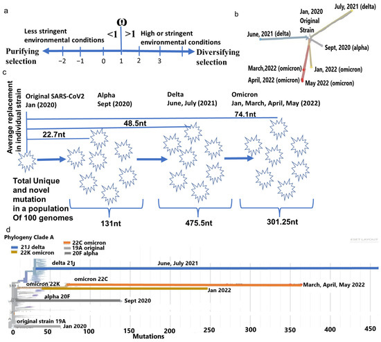 IJMS | Free Full-Text | Progressive Evolutionary Dynamics of Gene ...