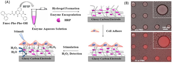 The Biomedical Applications of Biomolecule Integrated Biosensors for ...