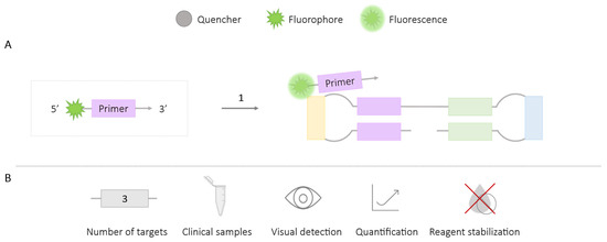 Multiplexing LAMP Assays: A Methodological Review and Diagnostic ...