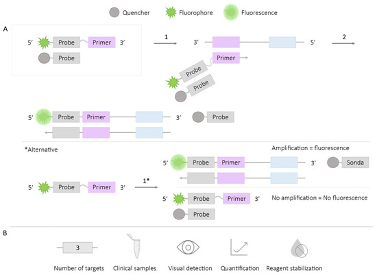 Multiplexing LAMP Assays: A Methodological Review and Diagnostic ...
