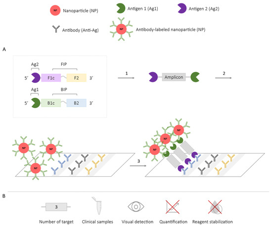 Multiplexing LAMP Assays: A Methodological Review and Diagnostic ...