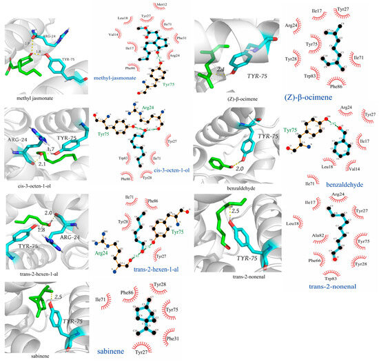 Molecular Characterization of Chemosensory Protein (CSP) Genes and the ...
