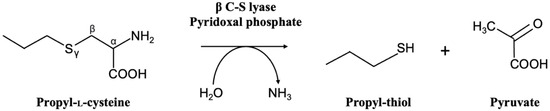 Microbial β C-S Lyases: Enzymes with Multifaceted Roles in Flavor ...