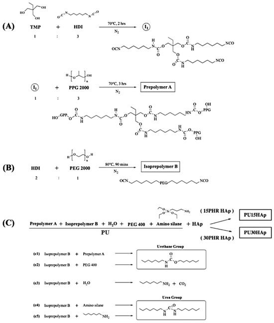 The Uniform Distribution of Hydroxyapatite in a Polyurethane Foam-Based ...