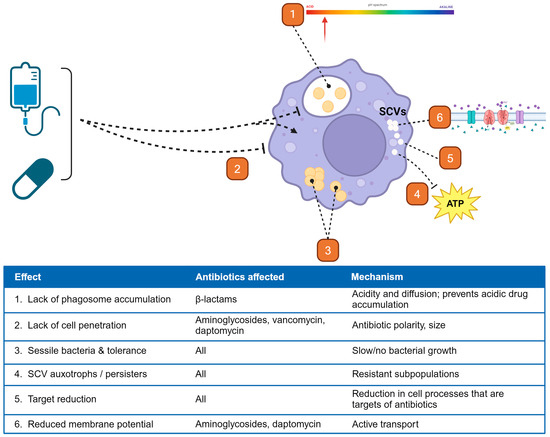 The Complex Intracellular Lifecycle of Staphylococcus aureus ...