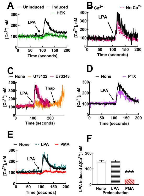 Lysophosphatidic Acid Receptor 3 (LPA3): Signaling and Phosphorylation ...