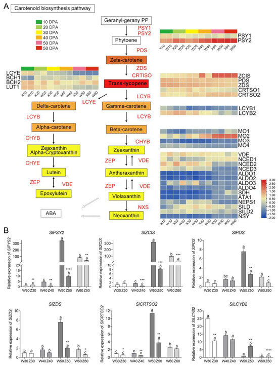 Integrative Analysis of Metabolome and Transcriptome of Carotenoid ...