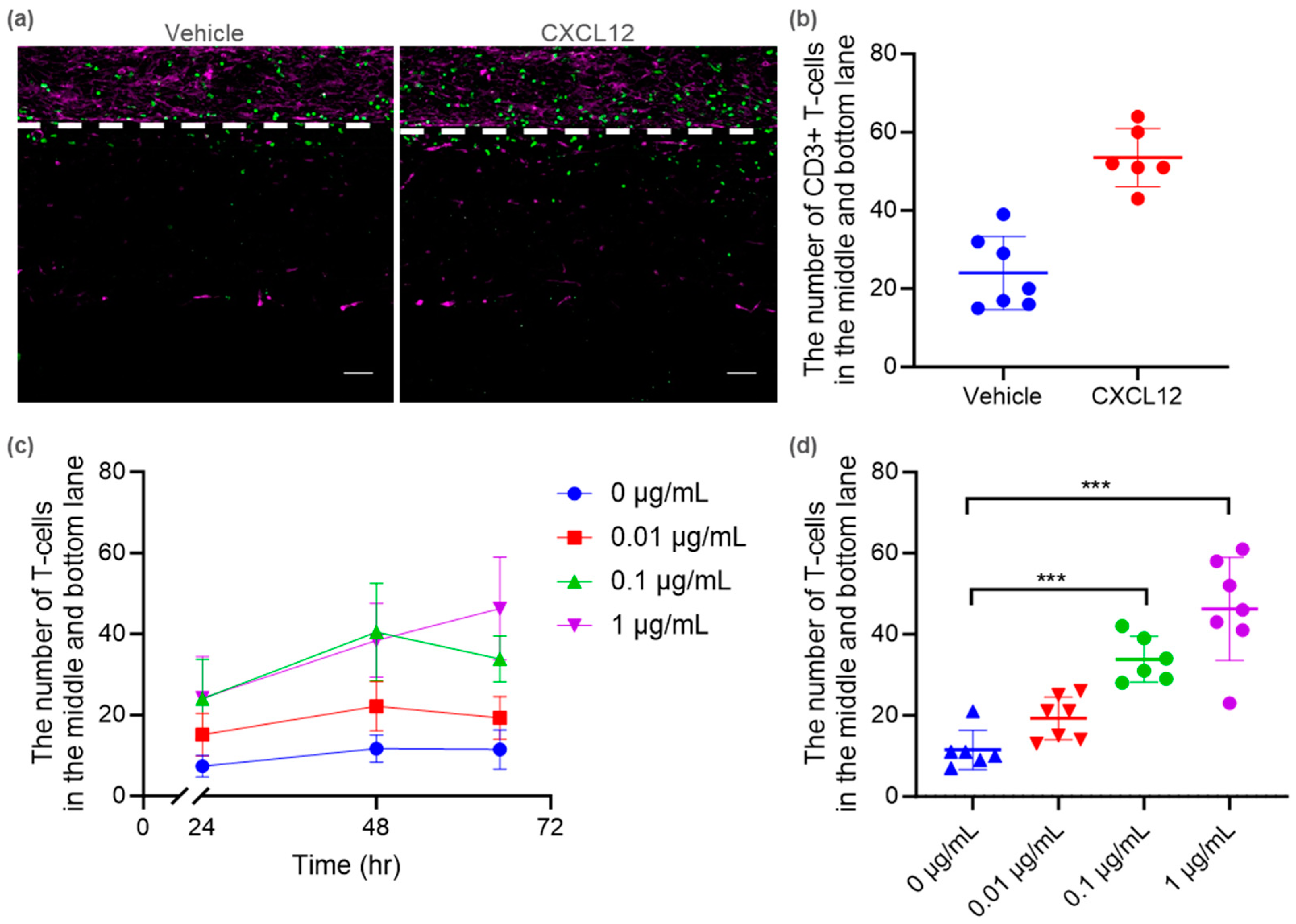 Modeling of Blood–Brain Barrier (BBB) Dysfunction and Immune Cell ...