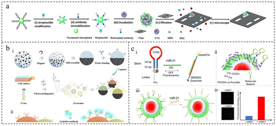 Polymer Microspheres and Their Application in Cancer Diagnosis and ...