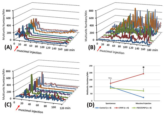 The P2X7 Hypothesis of Central Post-Stroke Pain