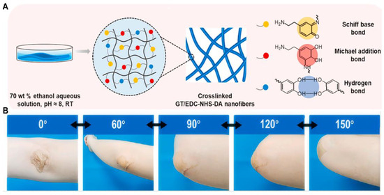 Hydrogel Wound Dressings Accelerating Healing Process of Wounds in Movable Parts