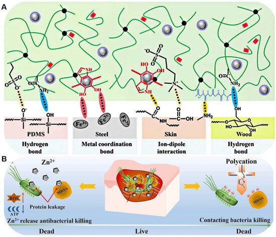 Hydrogel Wound Dressings Accelerating Healing Process of Wounds in Movable Parts
