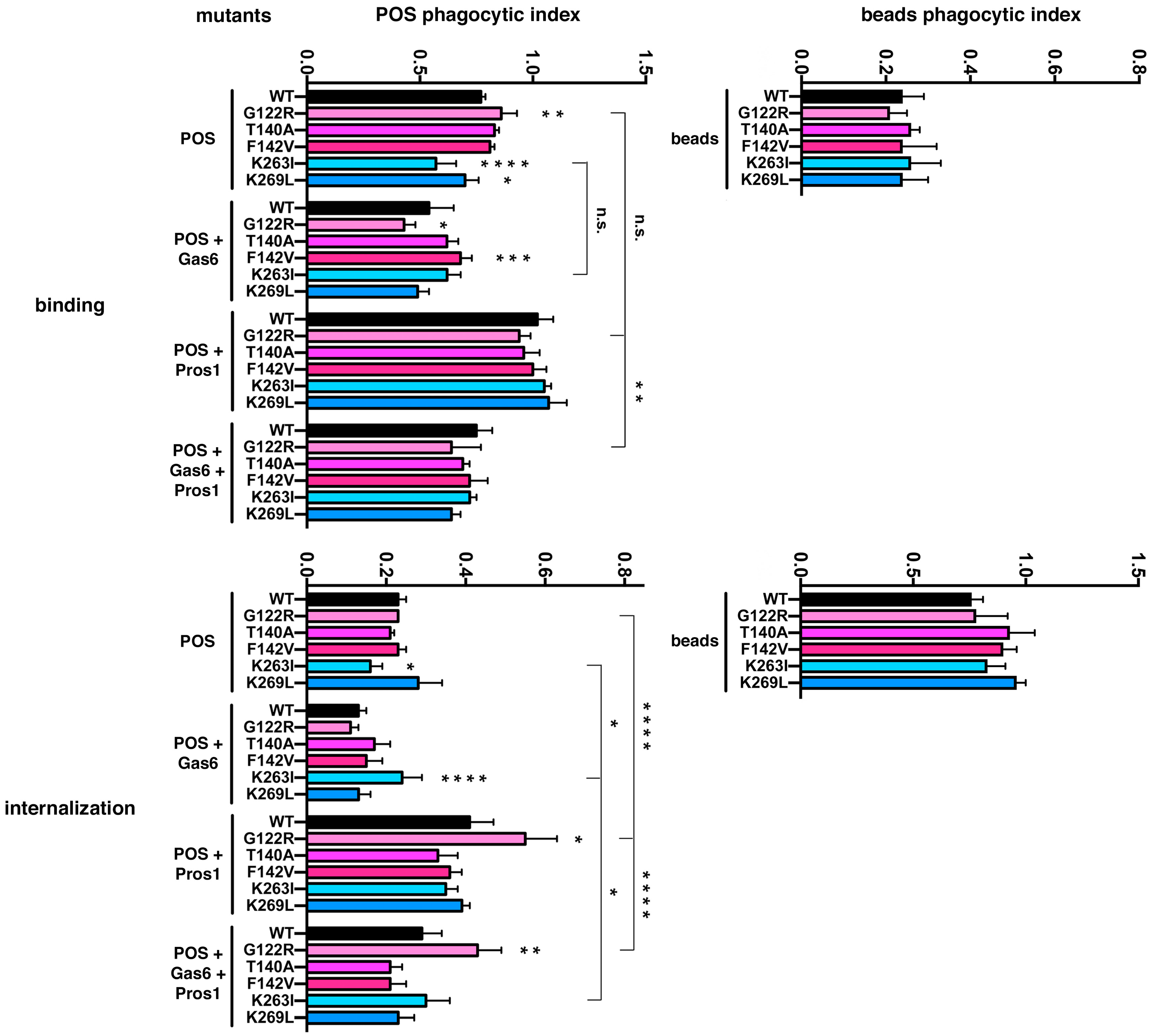Gas6 and Protein S Ligands Cooperate to Regulate MerTK Rhythmic ...