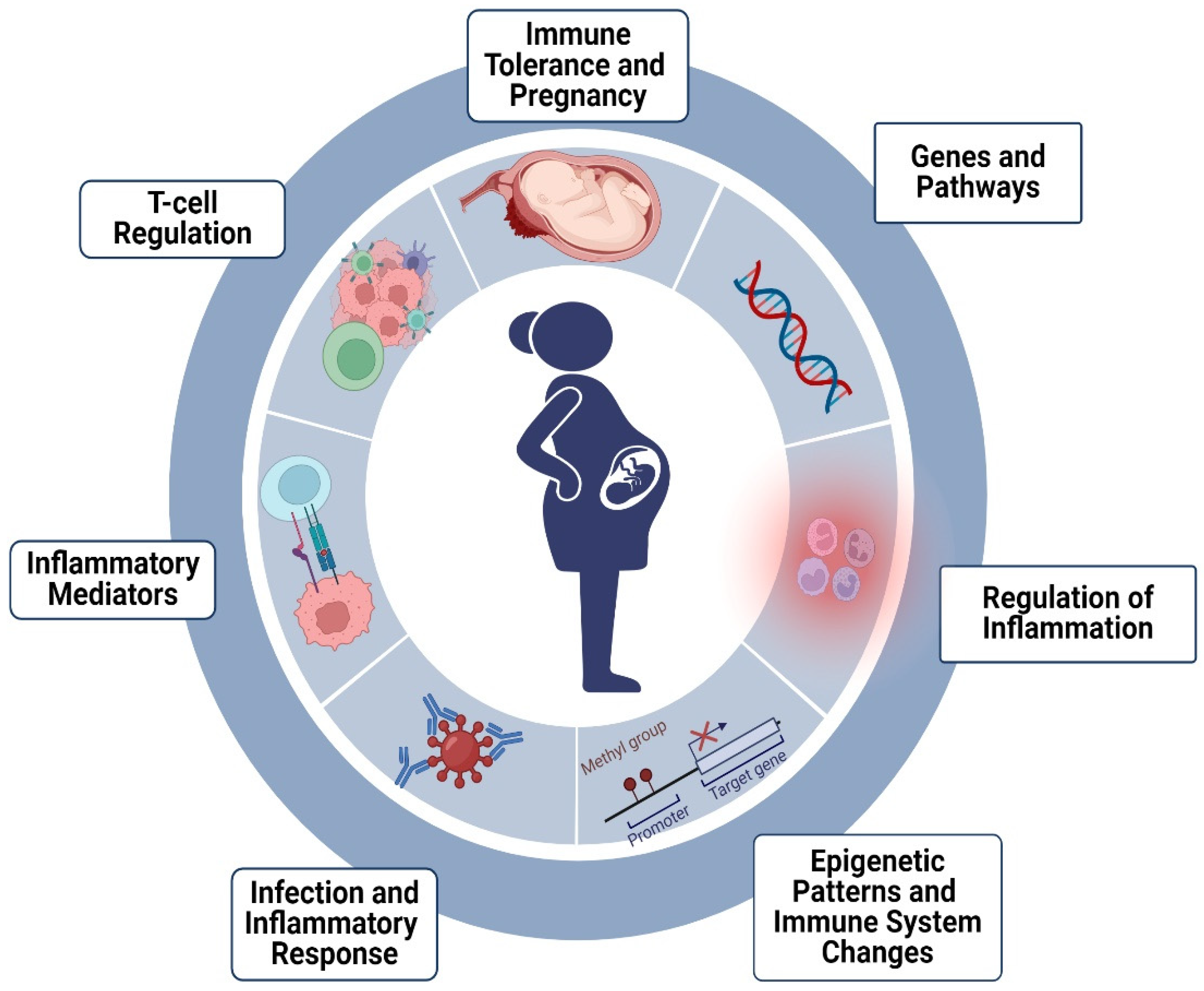 Pregnant Women with Multiple Sclerosis: An Overview of Gene Expression and Molecular Interaction ...