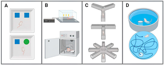 Behaviour Hallmarks in Alzheimer’s Disease 5xFAD Mouse Model