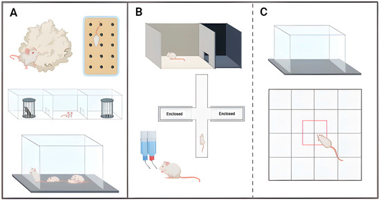 IJMS | Free Full-Text | Behaviour Hallmarks in Alzheimer’s Disease ...
