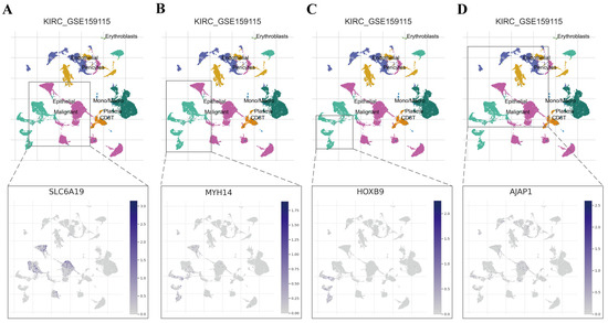 Identification and Validation of Tumor Microenvironment-Associated ...